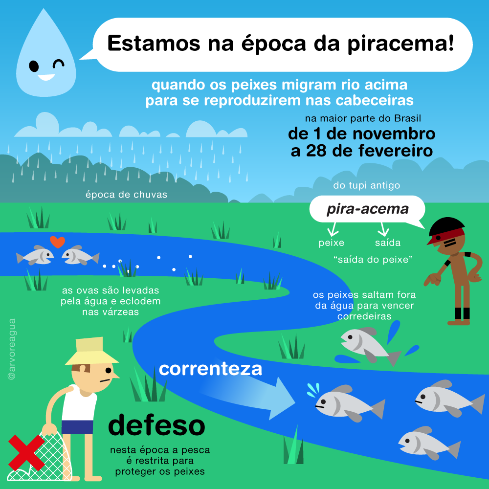 Enem 2017 O Fenomeno Da Piracema - RETOEDU