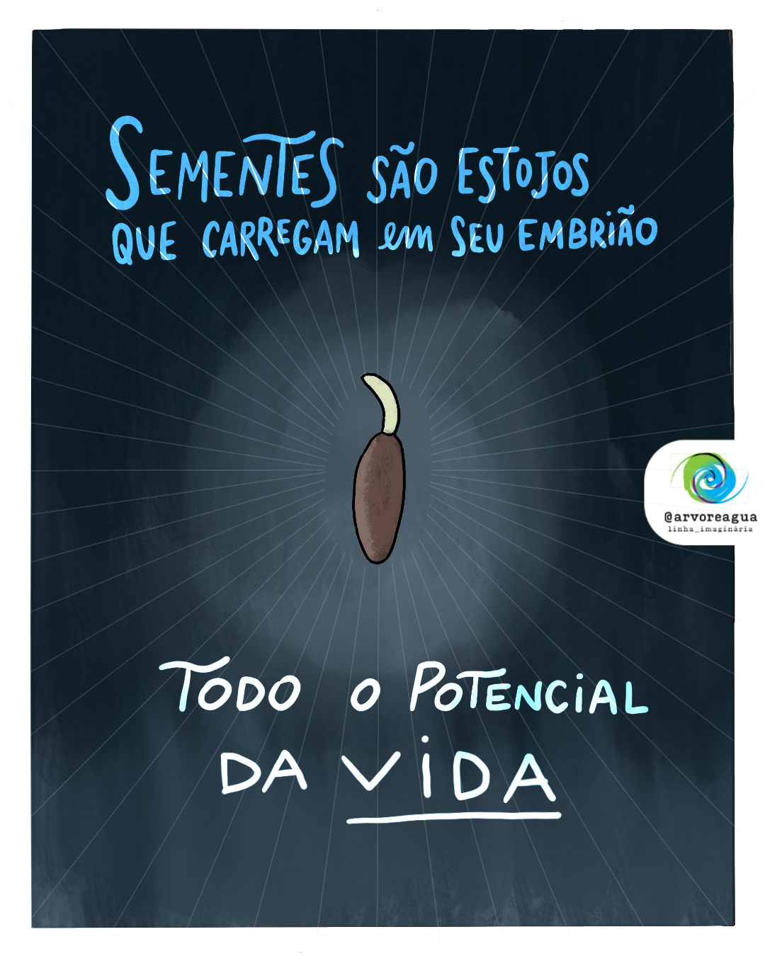 Sementes ortodoxas e recalcitrantes – arvoreagua